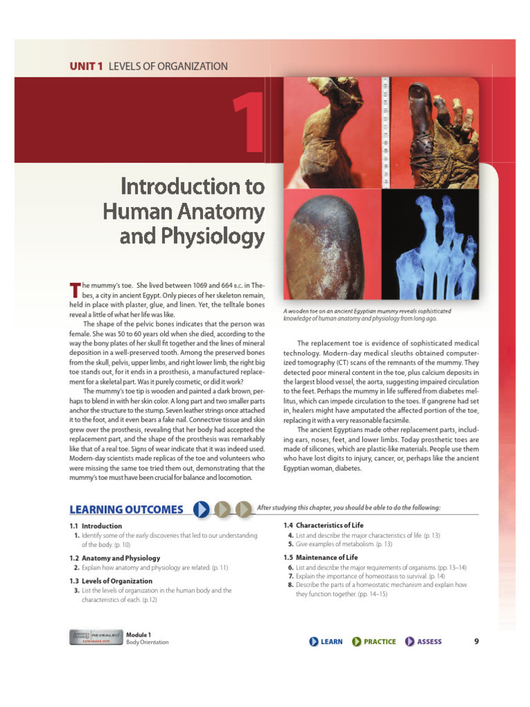 Hole's CH 1 Introduction To HAP | PDF | Homeostasis | Stimulus (Physiology)