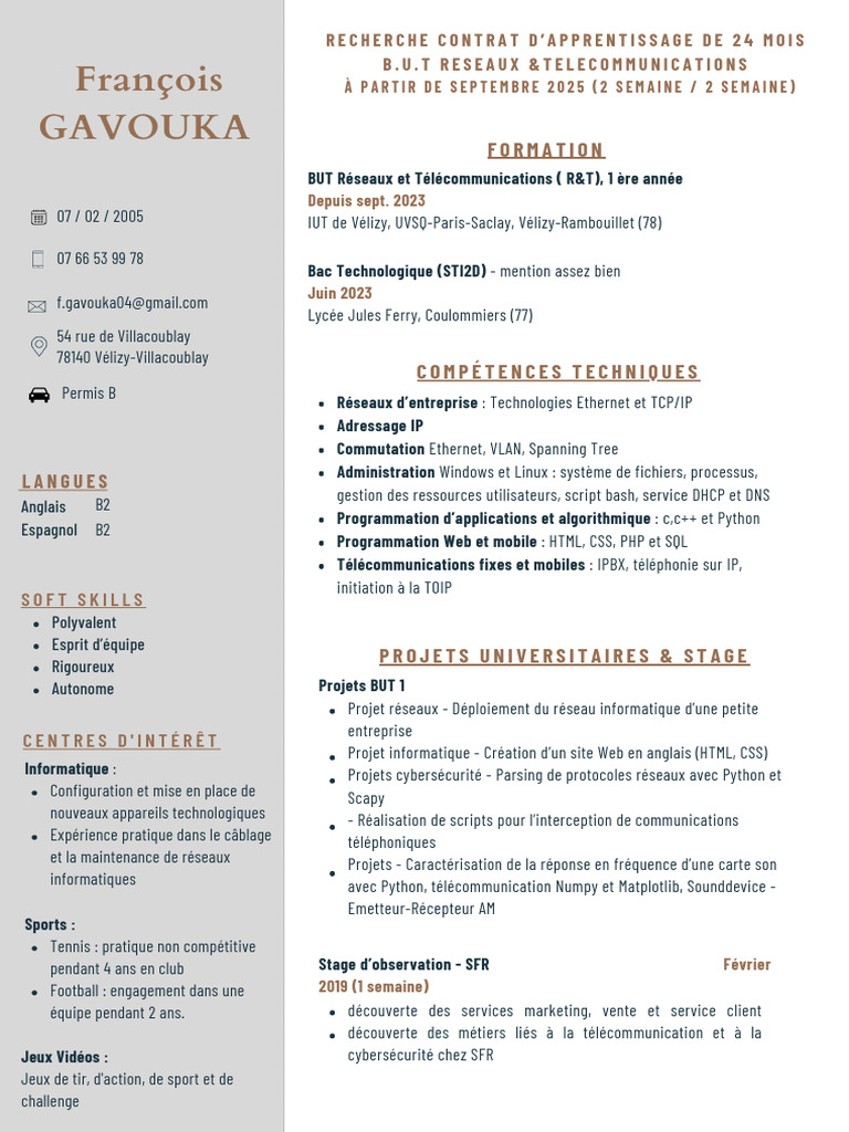 CV Alternance | PDF | Télécommunications | Internet