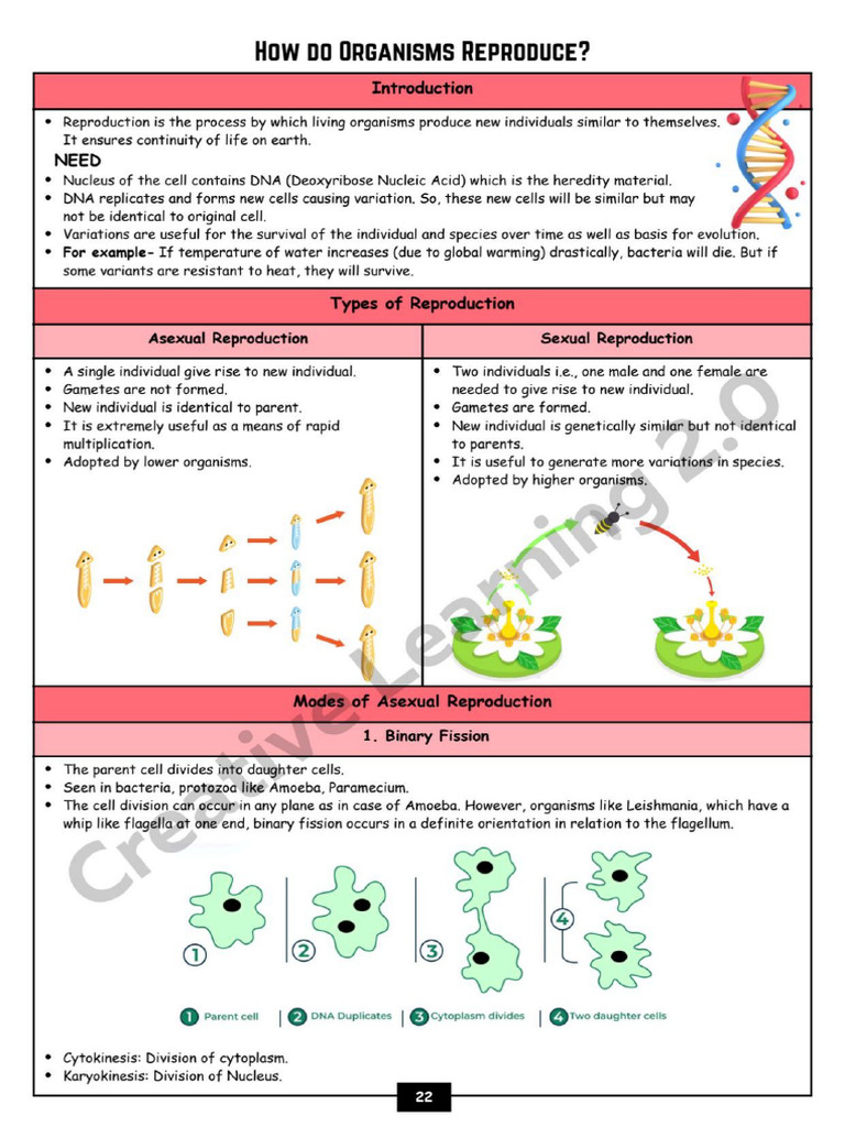 How Do Organisms Reproduce | PDF