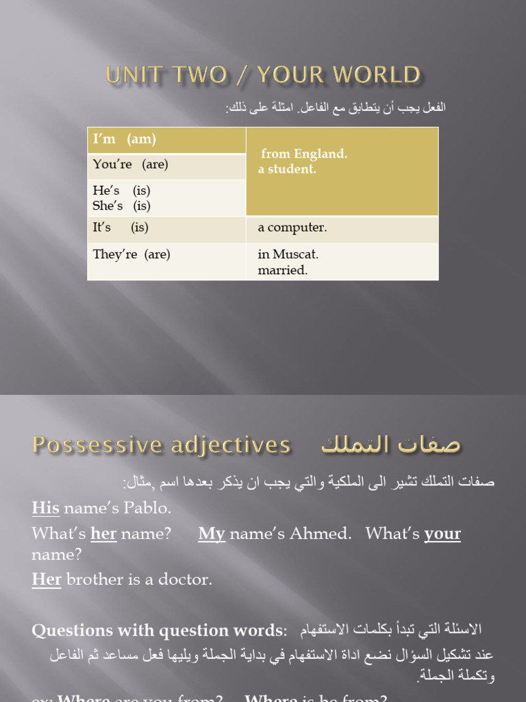 Second Lecture: Basic English Questions | PDF