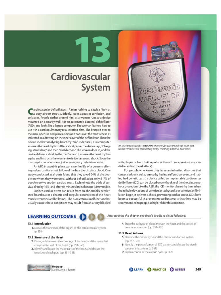 Hole's CH 13 Cardiovascular System | PDF | Heart Valve | Heart