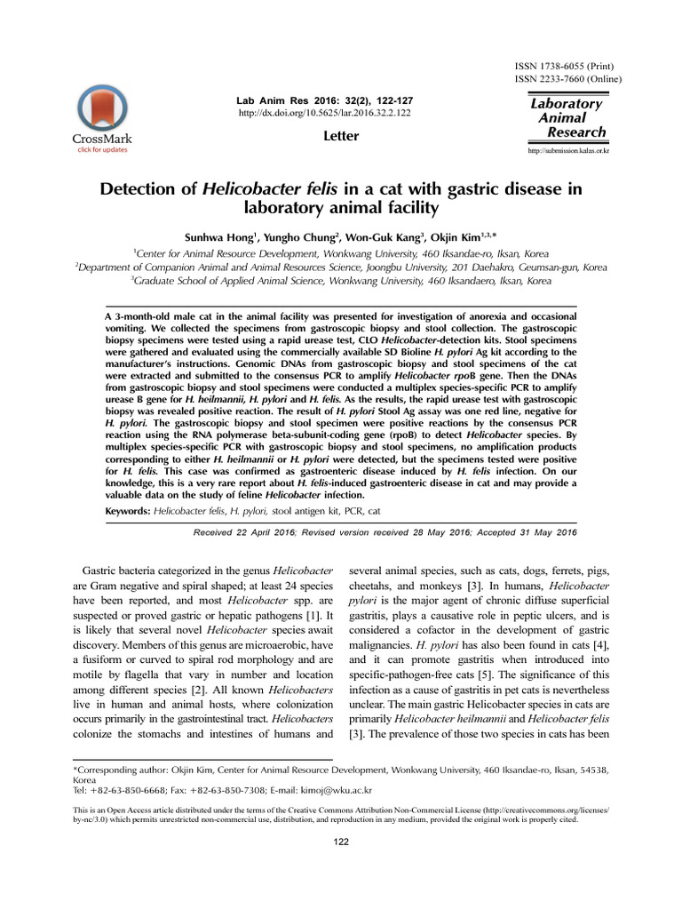 Detection of Helicobacter Felis in A Cat With Gastric Disease in ...
