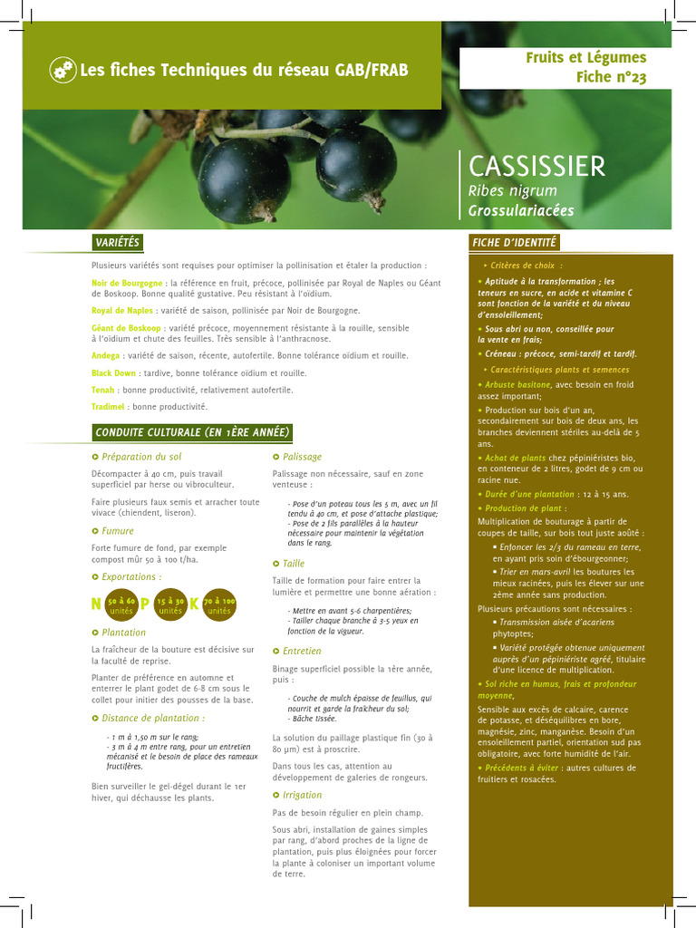 Variétés et culture des fruits GAB/FRAB | PDF | Plantes | Botanique