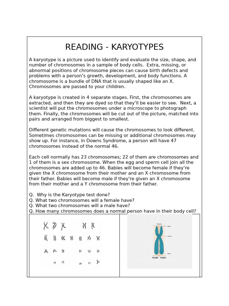 Karyotype_Reading | PDF