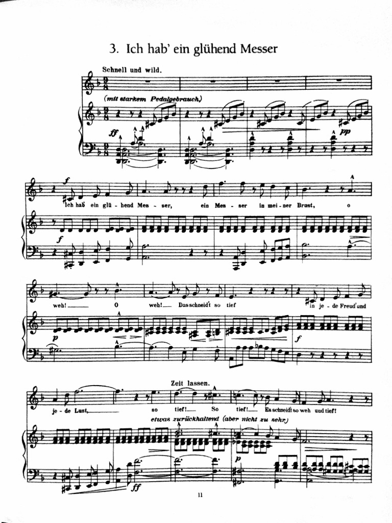 Ich Hab' Ein Glühend Messer | PDF