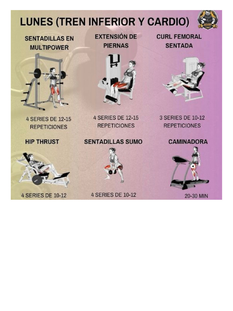 Rutina Semanal Clientes | PDF