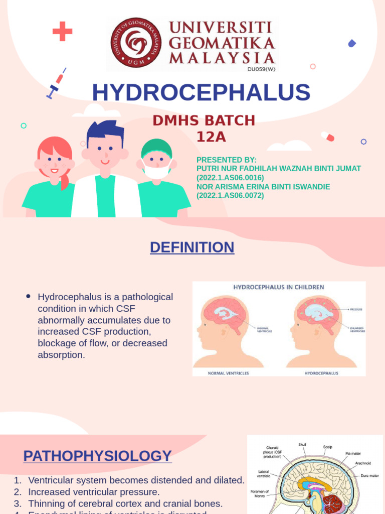 Hydrocephalus Presented by Putri & Erin | PDF | Cerebrospinal Fluid ...