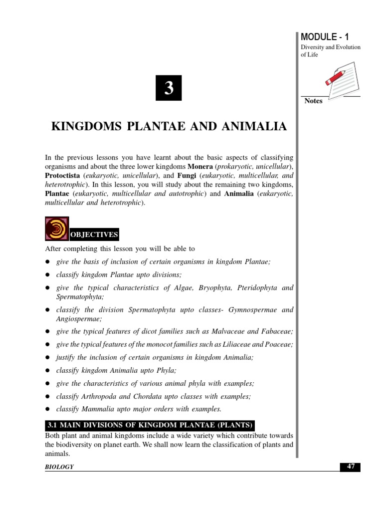 Classification of Plants | PDF | Spore | Plants