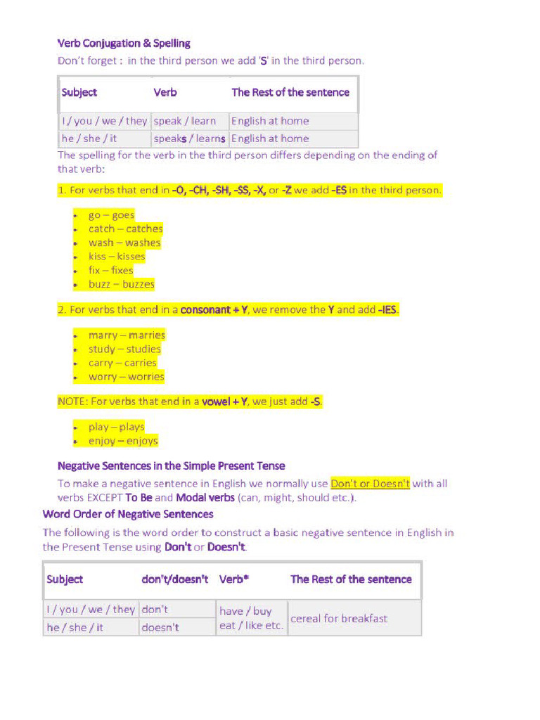 Present Simple Starter | PDF