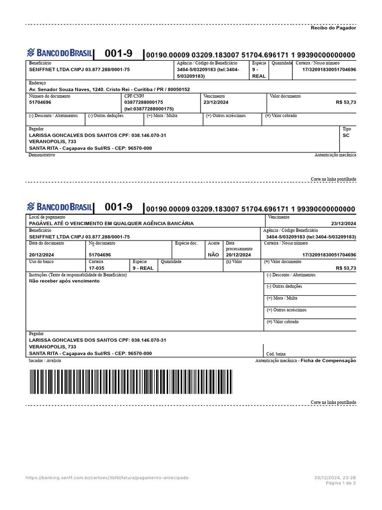 Senff - FATURA 2 | PDF