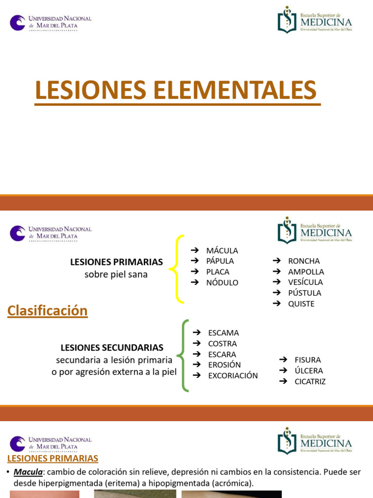 Lesiones Elementales | PDF