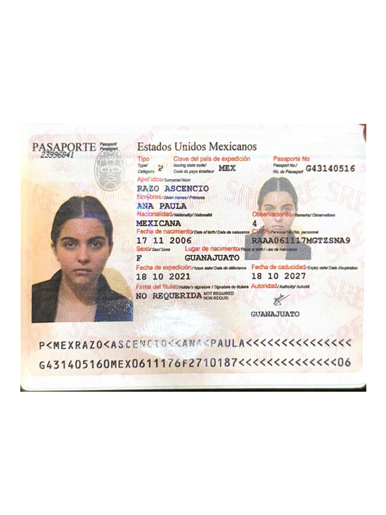 Pasaporte | PDF