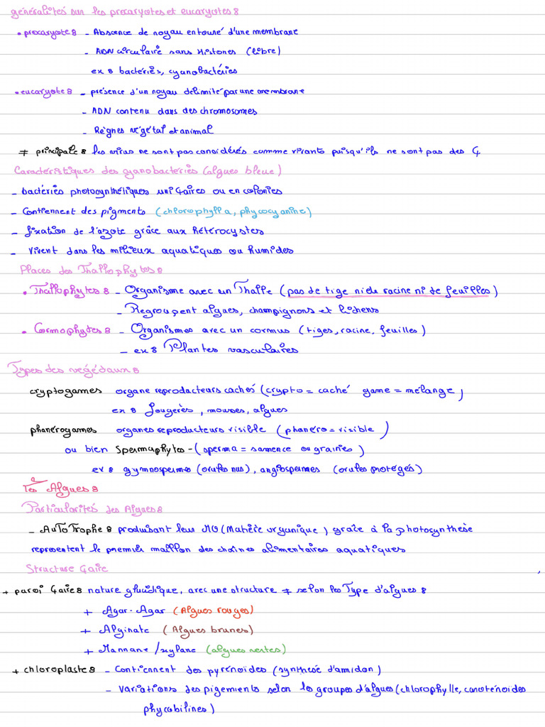 Thallophyte 202501131521 06352 | PDF