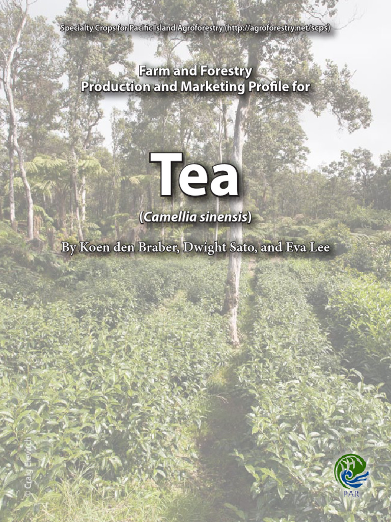 Tea Specialty Crop | PDF | Tea | Botany
