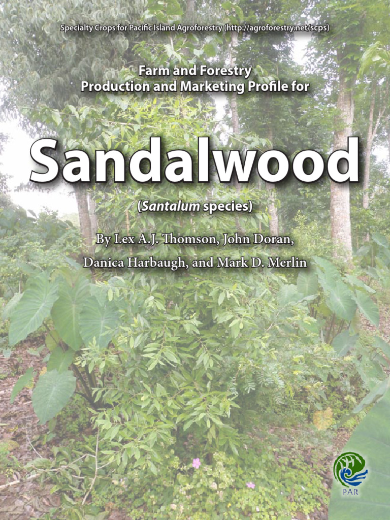 Sandalwood Specialty Crop | PDF | Fruit | Leaf