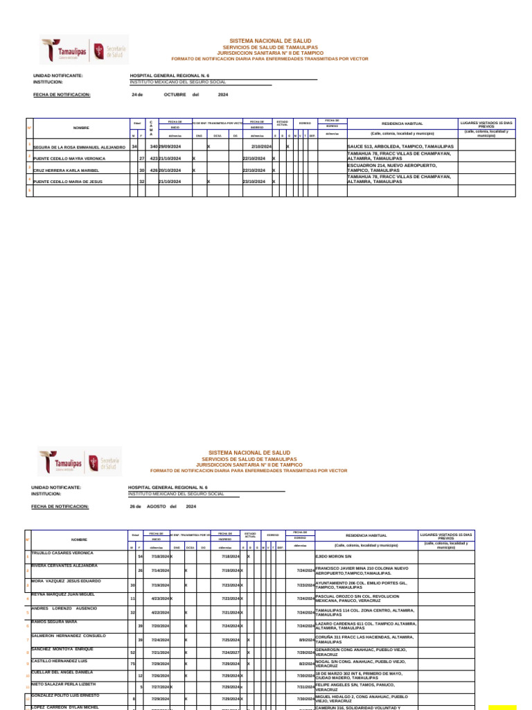 FORMATO REPORTE HOSPITALIZADOS ETVs-6 | PDF | Guerras de los Estados ...