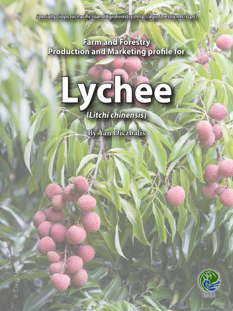 Lychee Production and Marketing Guide | PDF | Flowers | Botany