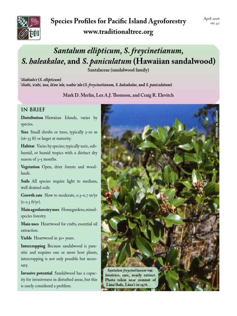 Hawaiian Sandalwood Species Overview | PDF | Trees | Crop Rotation