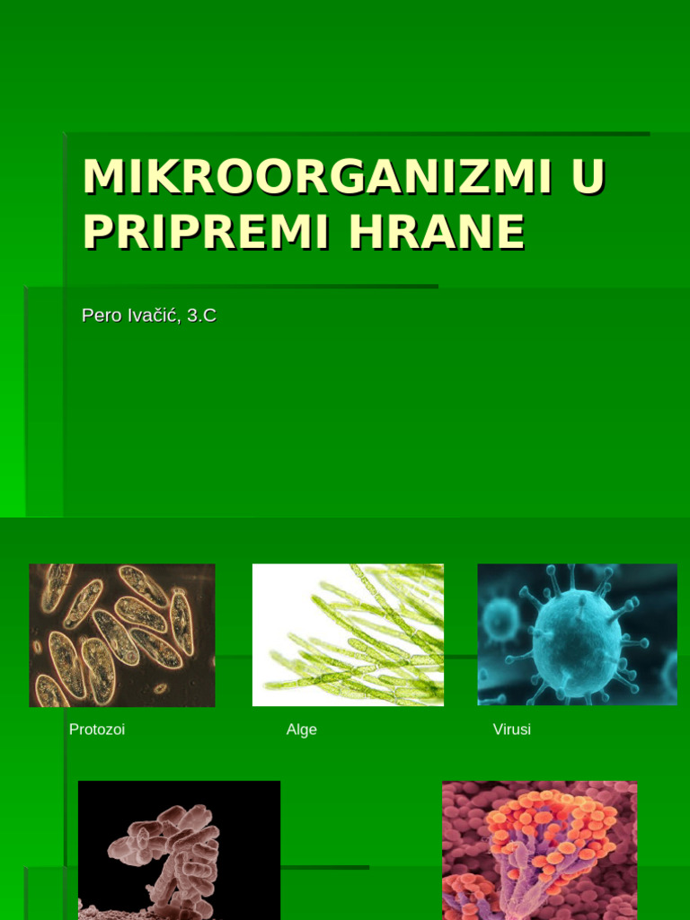 MIKROORGANIZMI U PRIPREMI HRANE Pero | PDF