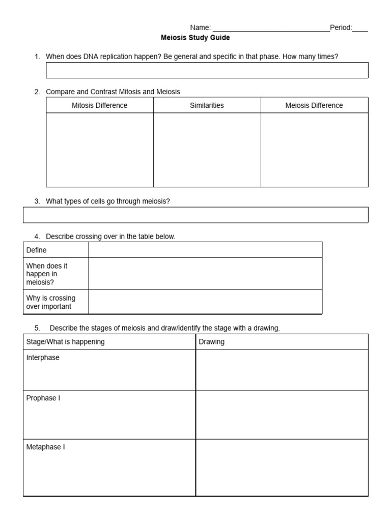 Meiosis Study Guide & Key Concepts | PDF | Meiosis | Ploidy