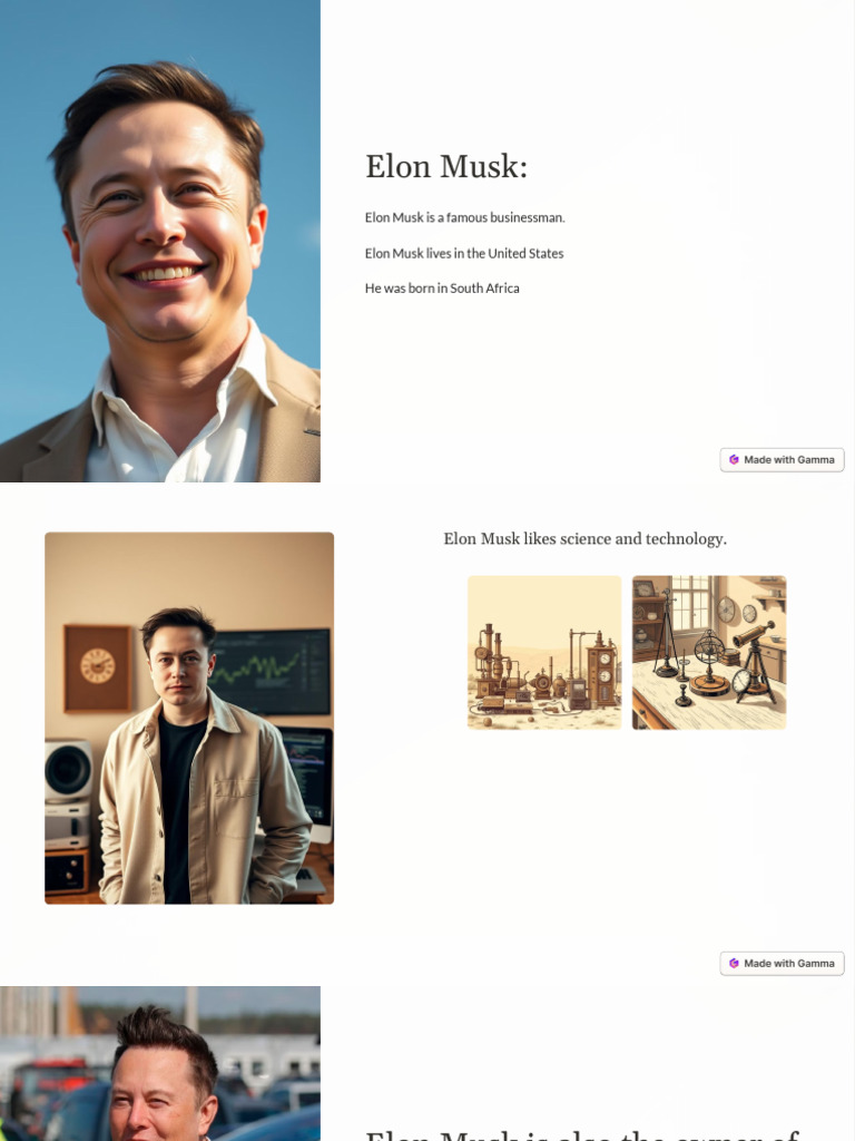 Elon Musk | PDF