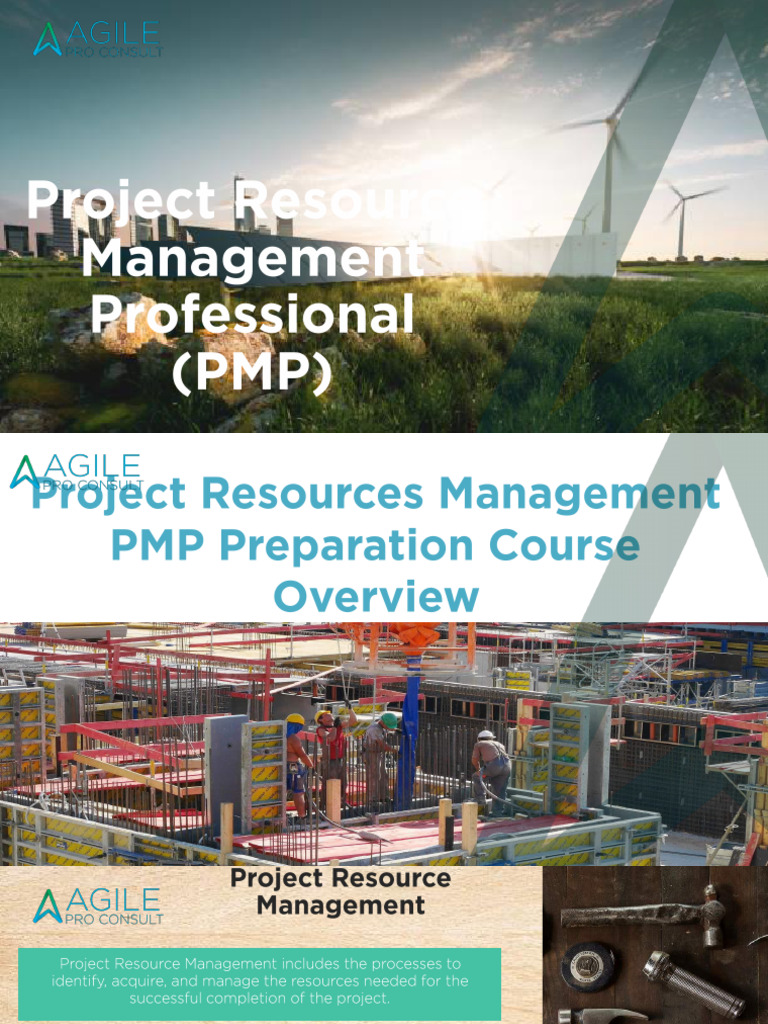 Project Team Management Strategies | PDF | Cognition | Psychology