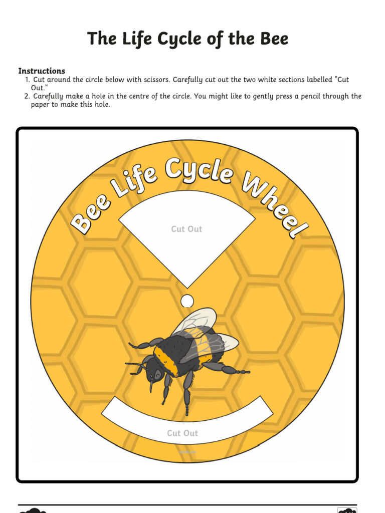 Bees | PDF