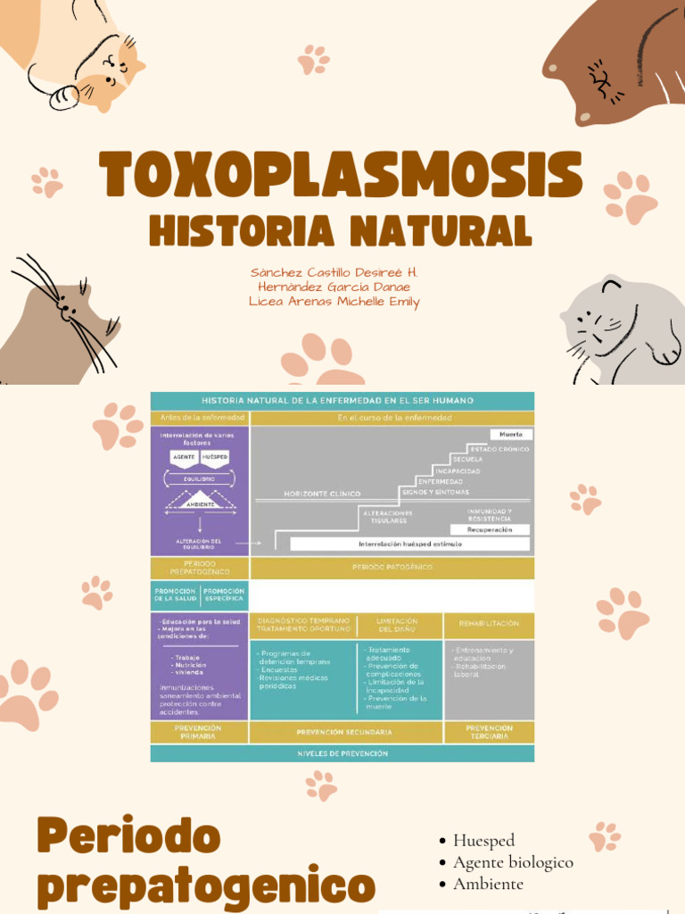 Toxoplasmosis: Prevención y Riesgos | PDF | Enfermedades y trastornos humanos | Microbiología