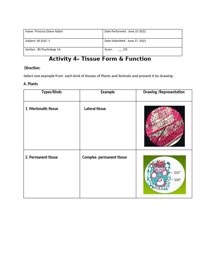 Laboratory Activity 4 - Tissue Form & Function | PDF