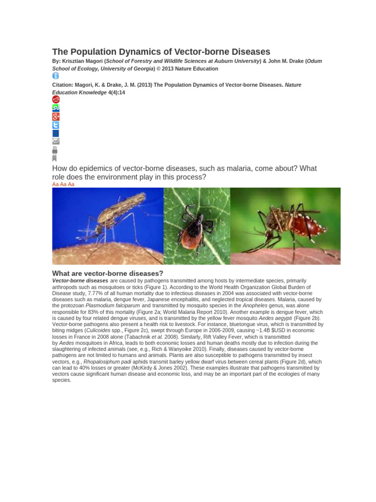 Vector Borne Disease Model | PDF | Infection | Aedes Aegypti