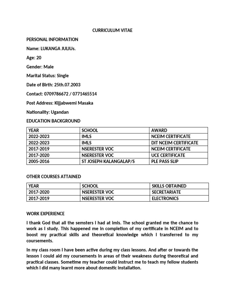 Curriculum Vitae 1 | PDF