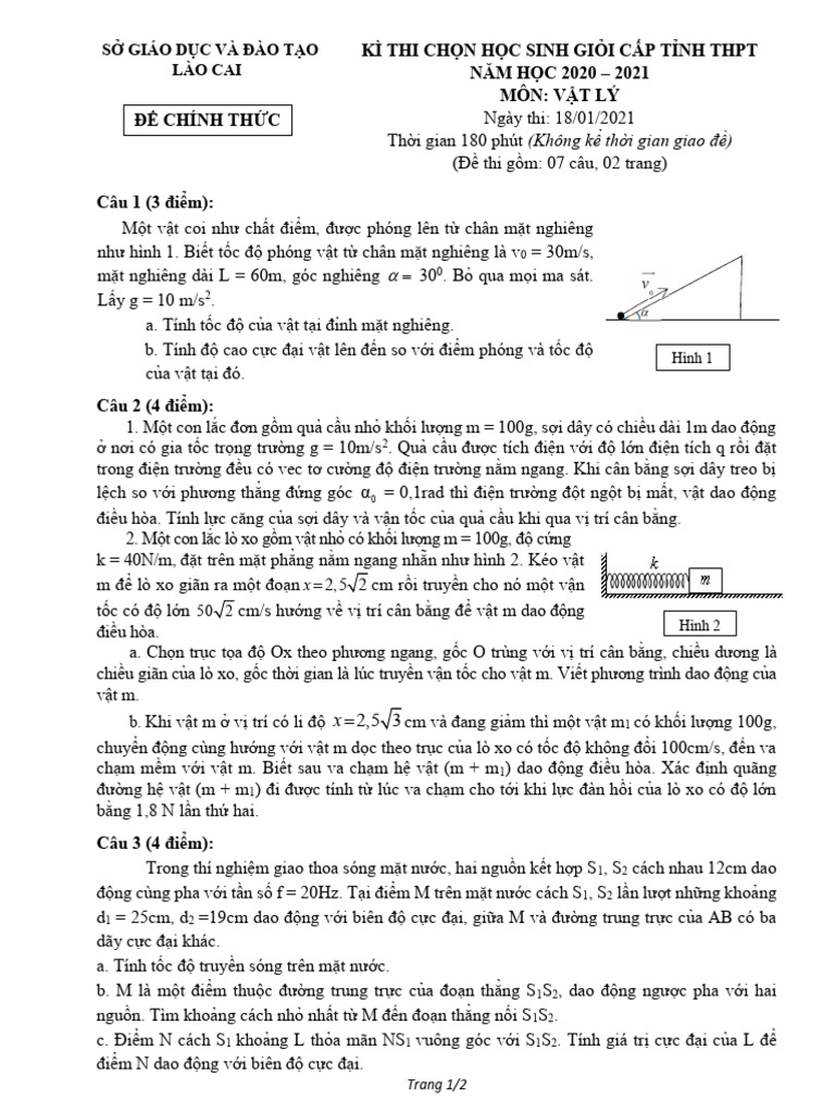 De Thi HSG Cap Tinh THPT 20202021 | PDF