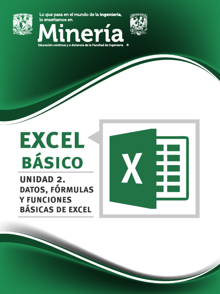 Excel Básico: Datos y Fórmulas | PDF | Hoja de cálculo | Microsoft Excel