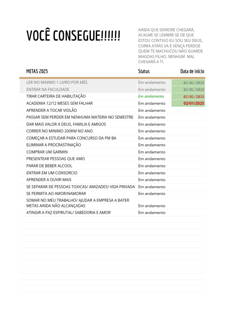 Metas Pessoais para 2025 | PDF