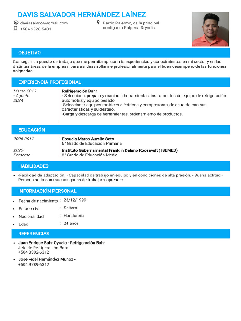 Currículum de Davis Salvador Hernández | PDF