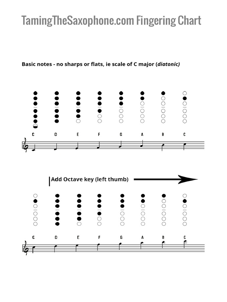 Fingering Chart | PDF