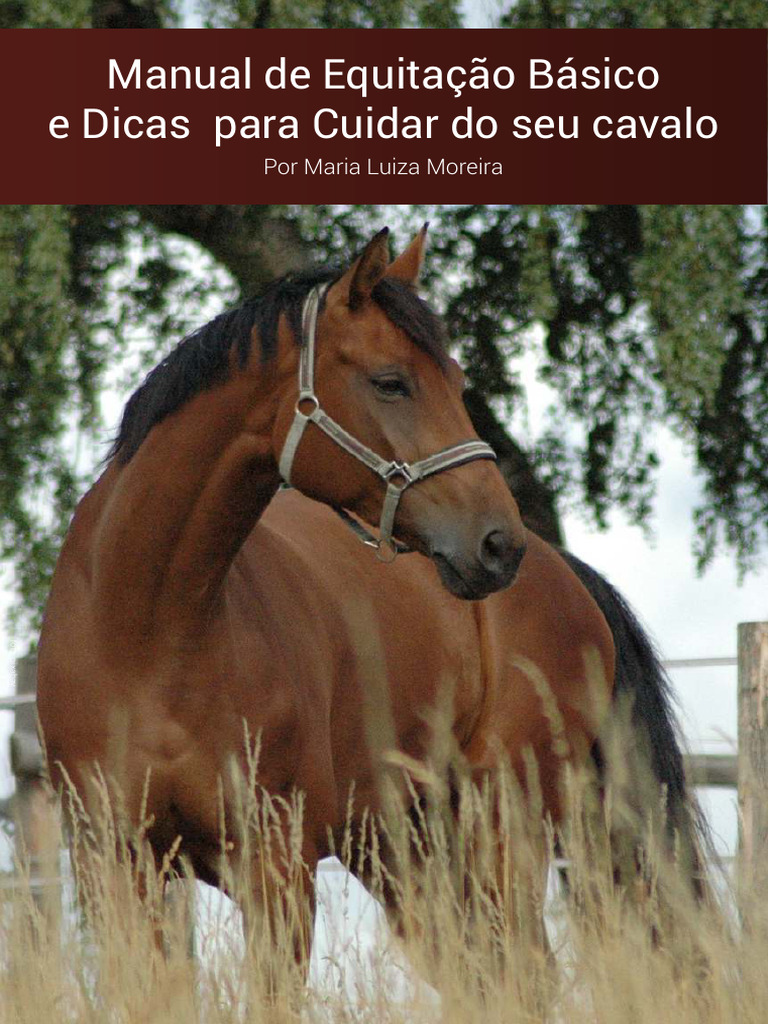 Manual Prático de Equitação e Cuidados | PDF | Cavalos | Hipismo