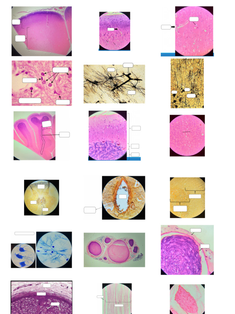 Exercícios UC4 | PDF