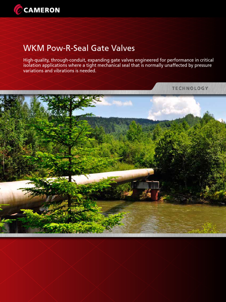 2019 WKM Pow-R-Seal Brochure | PDF | Valve | Pipe (Fluid Conveyance)