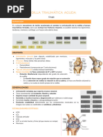 Pruebas de Bostezo en Rodilla | PDF | Rodilla | Medicina CLINICA