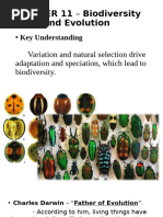 Grade 12 Evolution Notes (CAPS) | PDF | Homo | Evolution