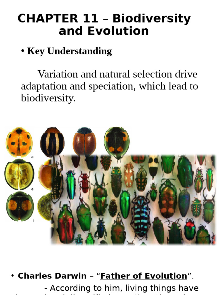CHAPTER 11 - Understanding The Genetic Material. | PDF | Natural Selection | Evolution