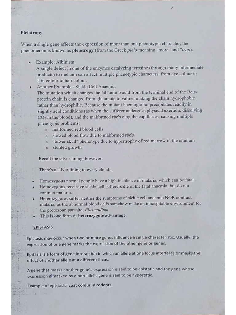 BIO 104 Pleiotropy | PDF
