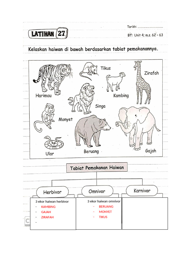 Tabiat Pemakanan Haiwan | PDF