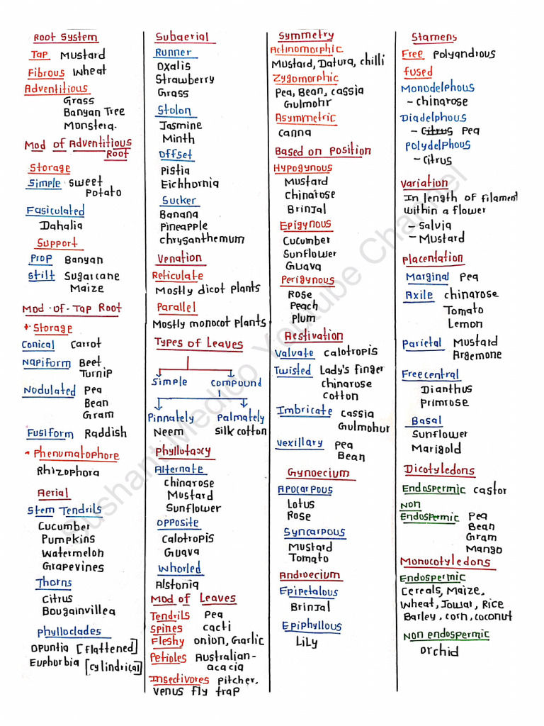 Morphology of flowering plants examples... | PDF
