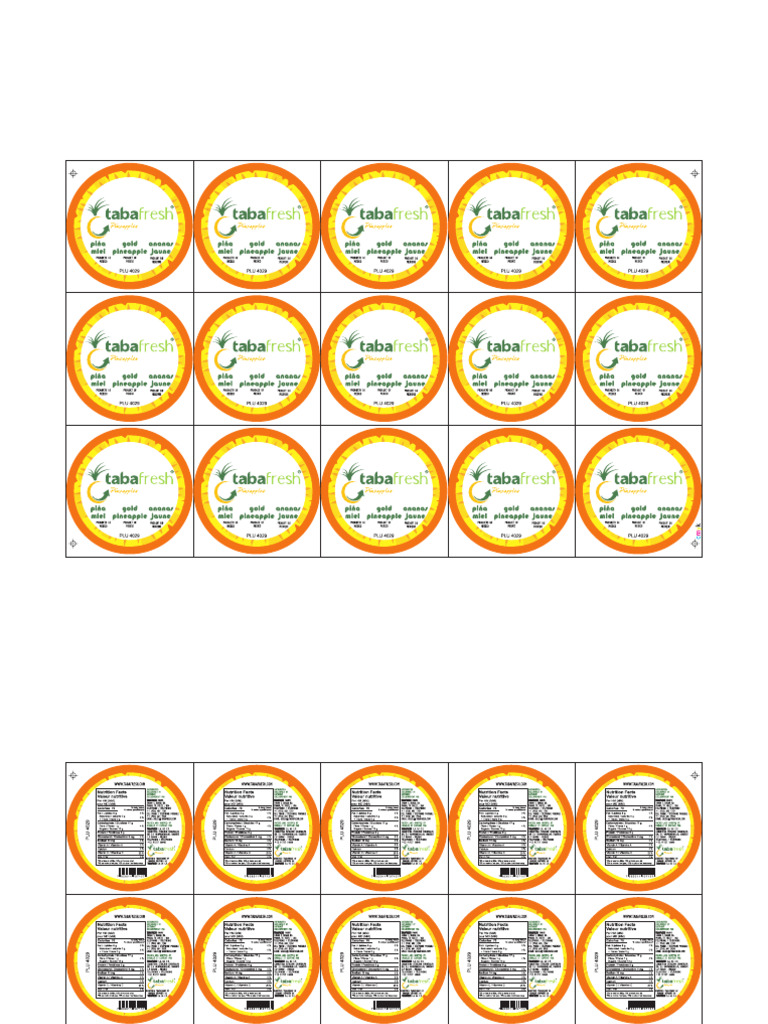 2 Placas 510 X 400 Tabafresh 4029 Naranja | PDF