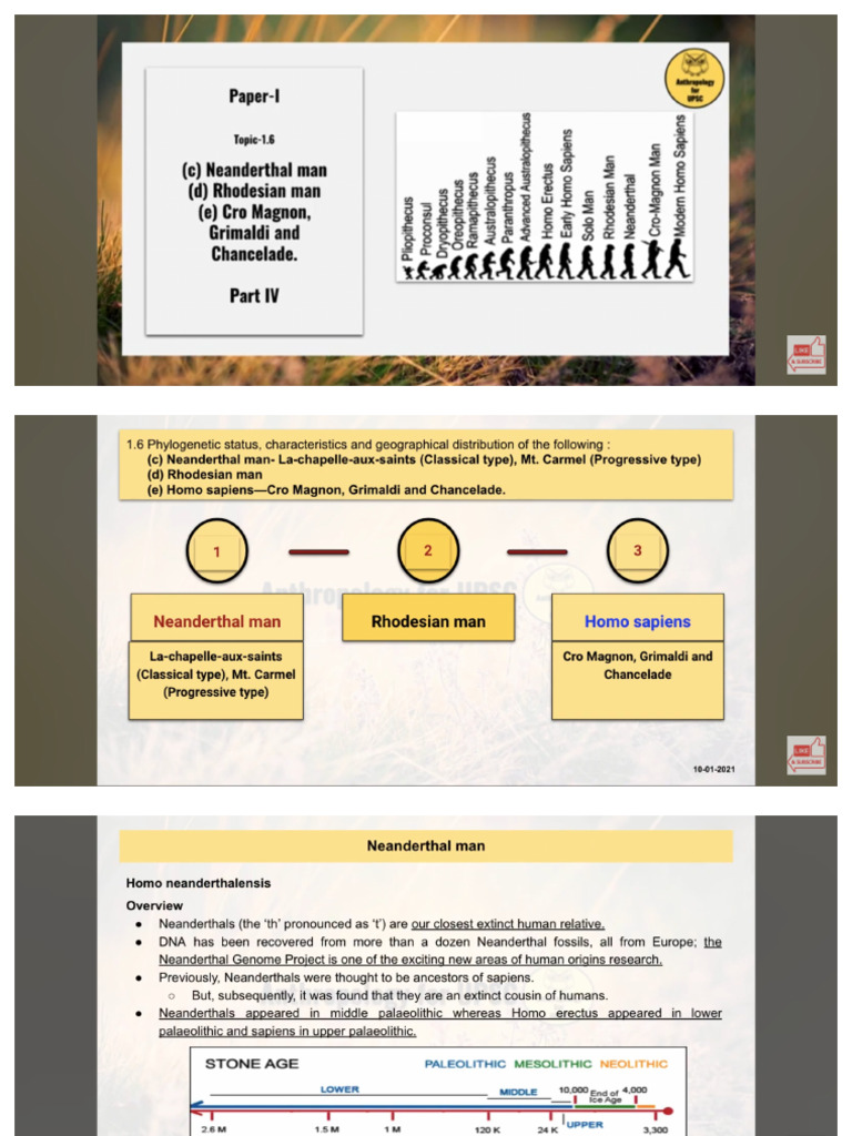 Neanderthal Man Rhodesian Man Cro Magnon Grimaldi and Chancelade Part IV | PDF