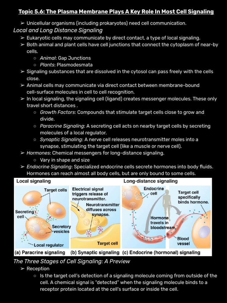 Cell Signaling and Plasma Membrane Functions | PDF | Cell Signaling ...