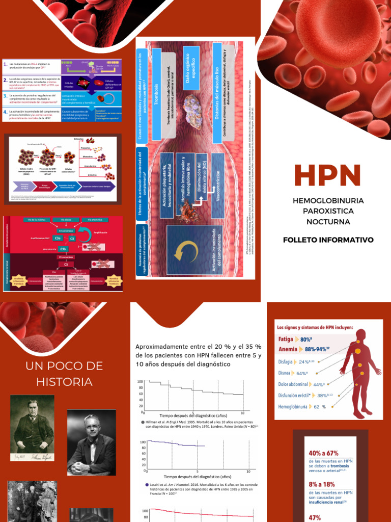 HEMOGLOBINURIA PAROXISTICA NOCTURNA | PDF