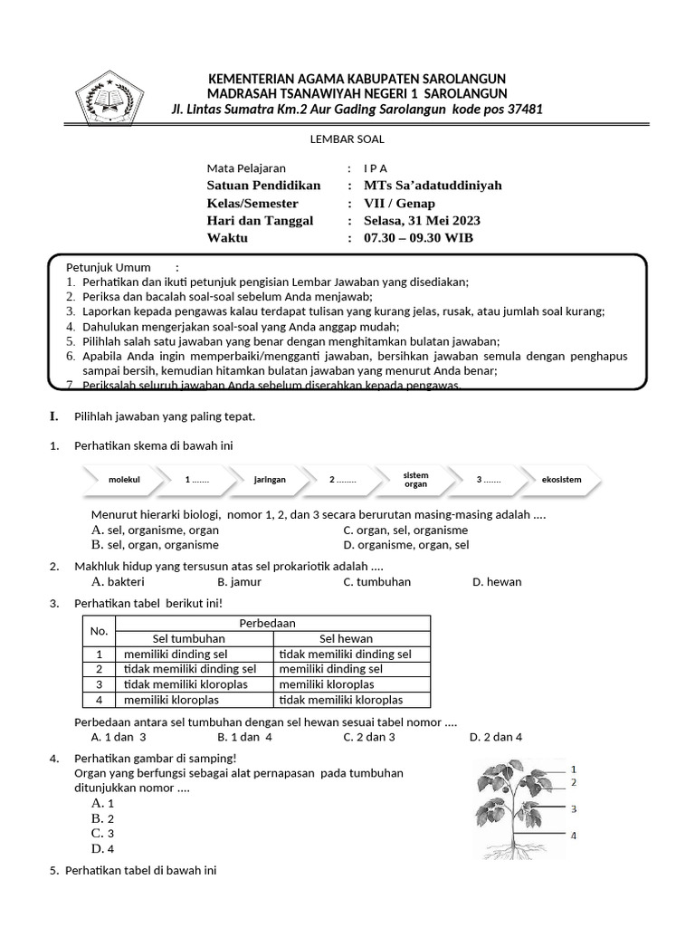 Soal Pat Ipa Kelas 7 Sem 2 | PDF